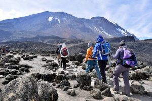 Combined Kenya & Tanzania Tours - Kenya Tanzania Safari